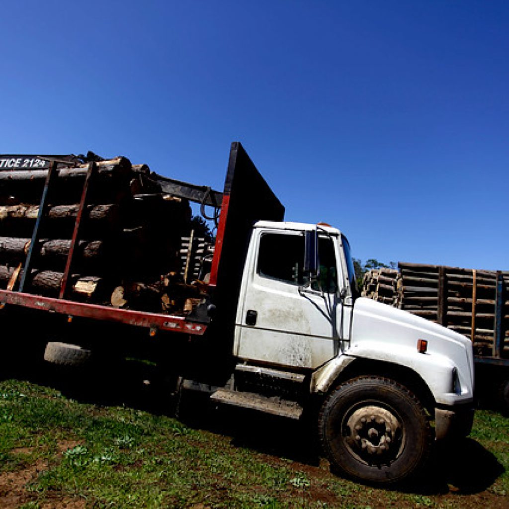 Giacaman Destacó Operativos En Arauco Por Robo De Madera Y Narcotráfico