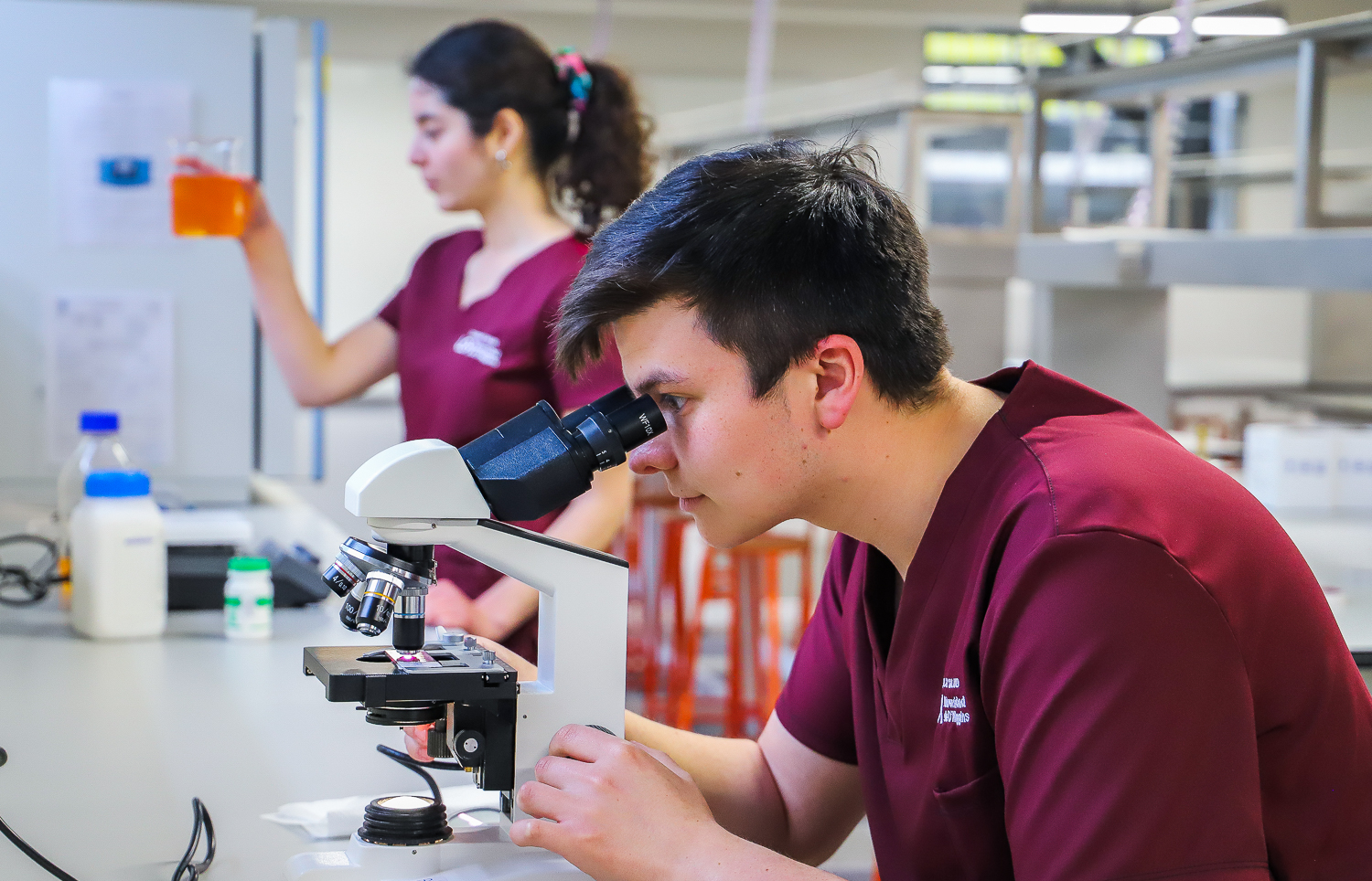 Tecnología Médica: La carrera “silenciosa” que impartirá la Universidad Estatal de O’Higgins ...